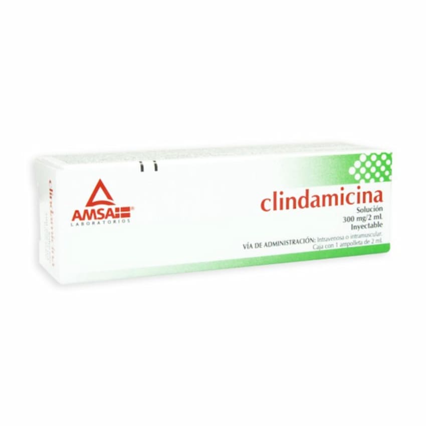 Clindamicina 300 Mg Solución Inyectable 2 Ml Genérico Amsa – Farmacia ...