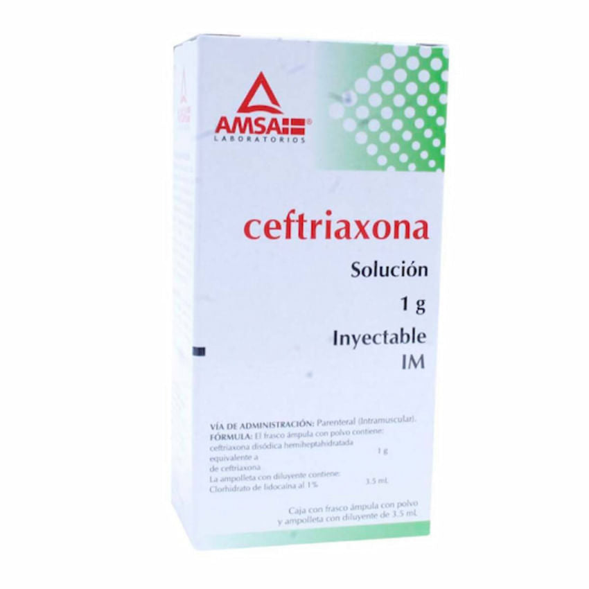 Ceftriaxona IM 1 G Solución Inyectable Ampolleta Genérico Amsa ...